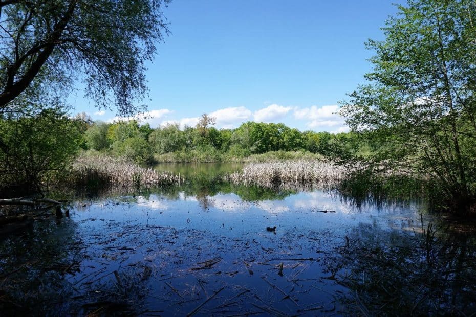 Berlin Weißensee - der unauffällige aber sehenswerte Ortsteil