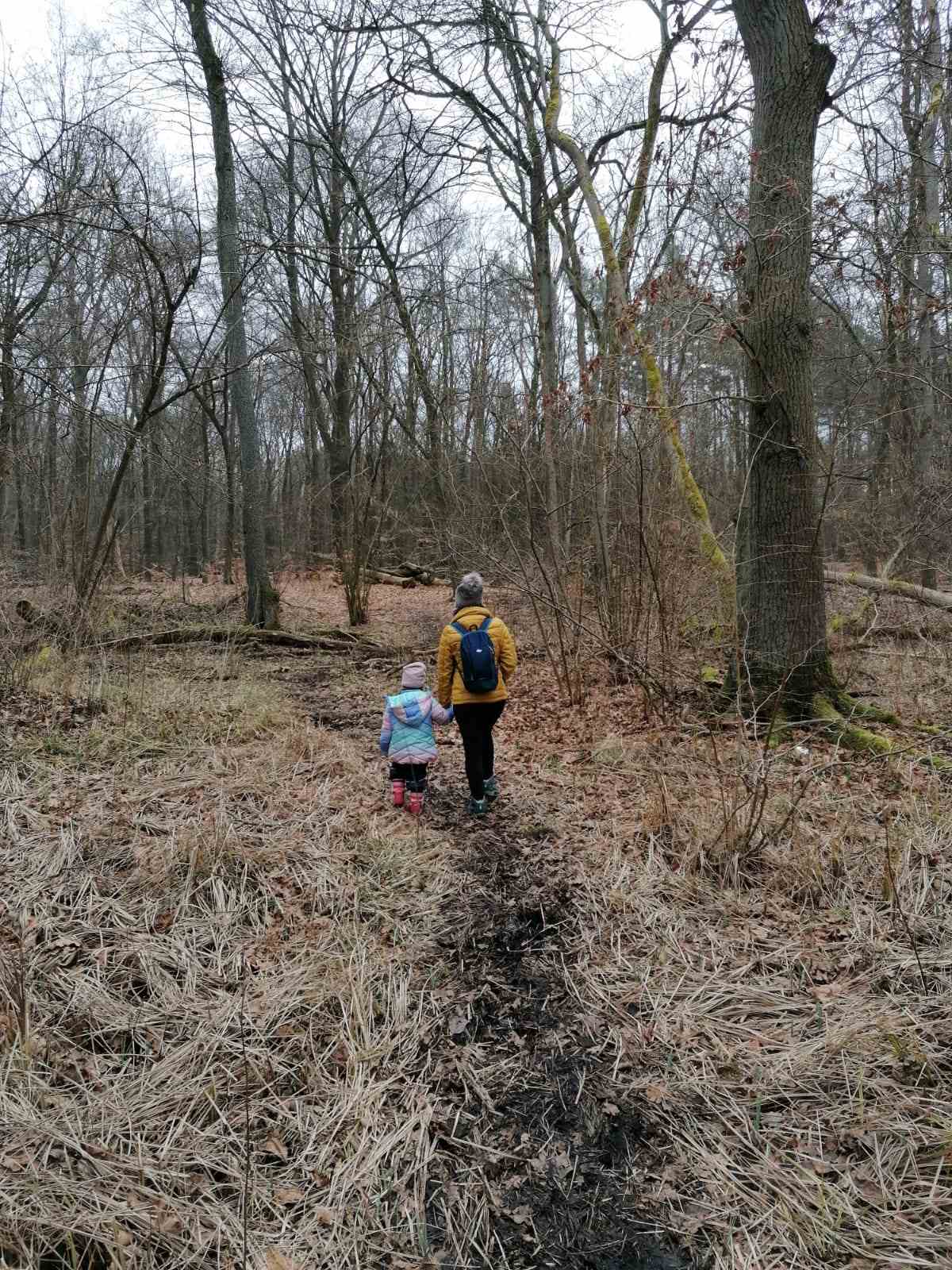 Bucher Forst – Abenteuerlicher Waldspaziergang in Berlin