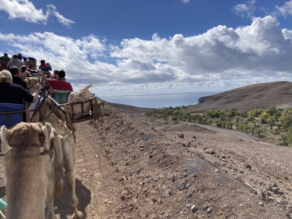 Oasis Zoo Fuerteventura Tipps und Infos - das musst Du wissen